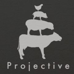 Projective 🎮️ Play Online